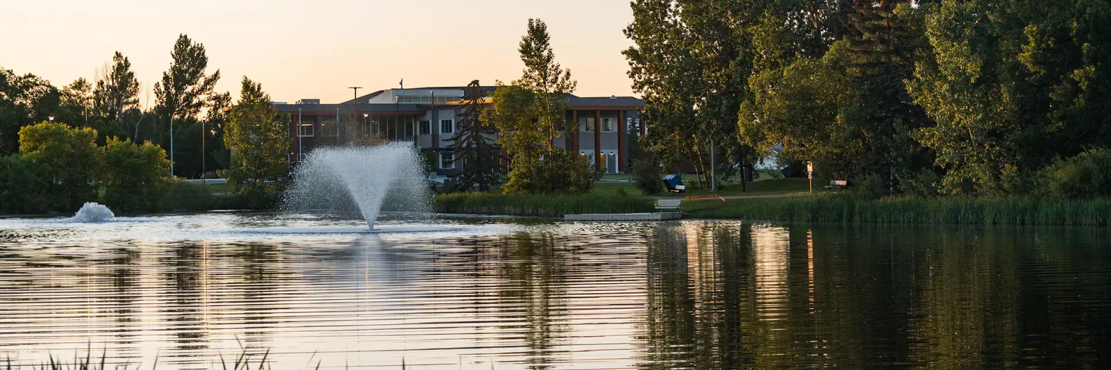 Home | Town of Strathmore